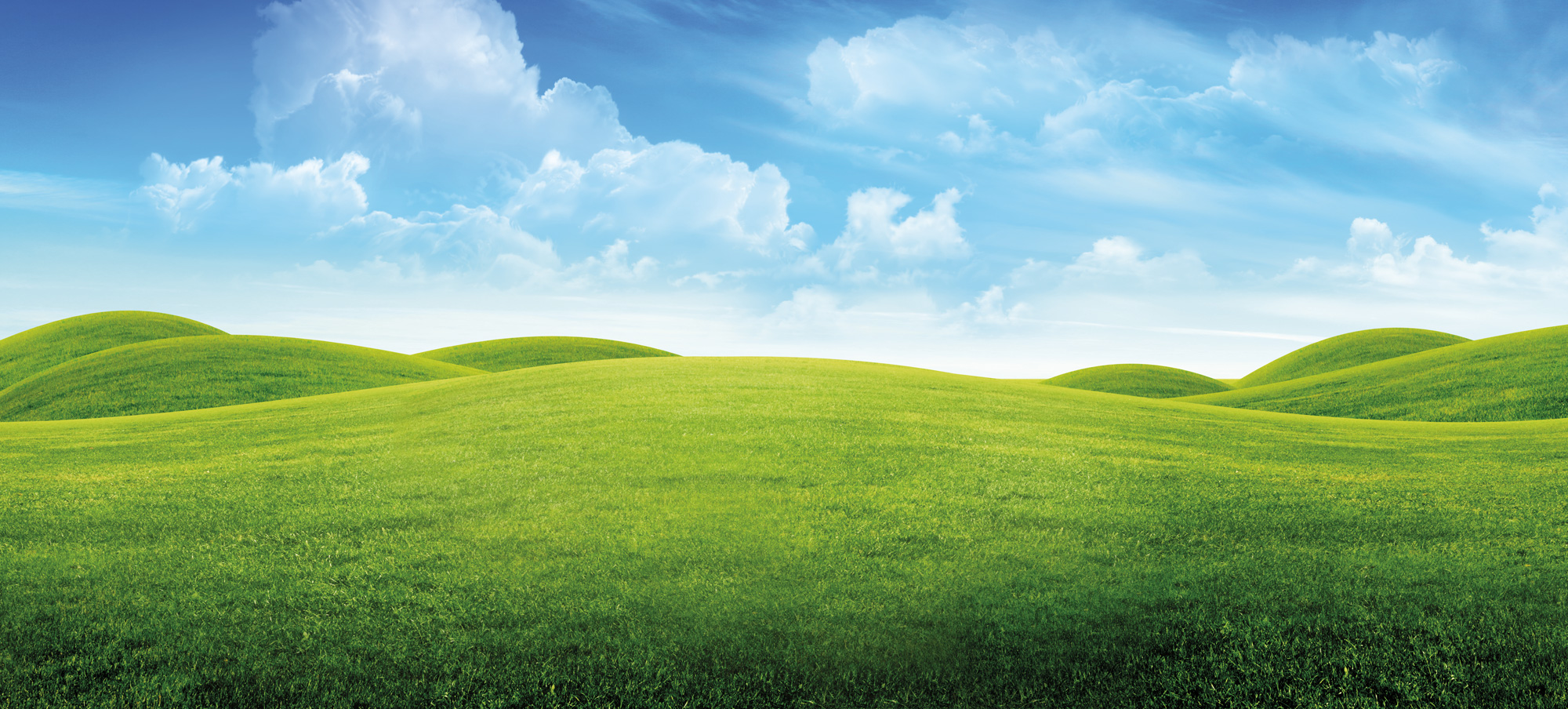 Xograph environmental policy